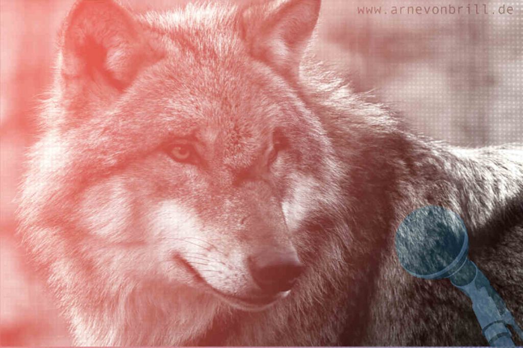 Growling Back at the West - China Media Project