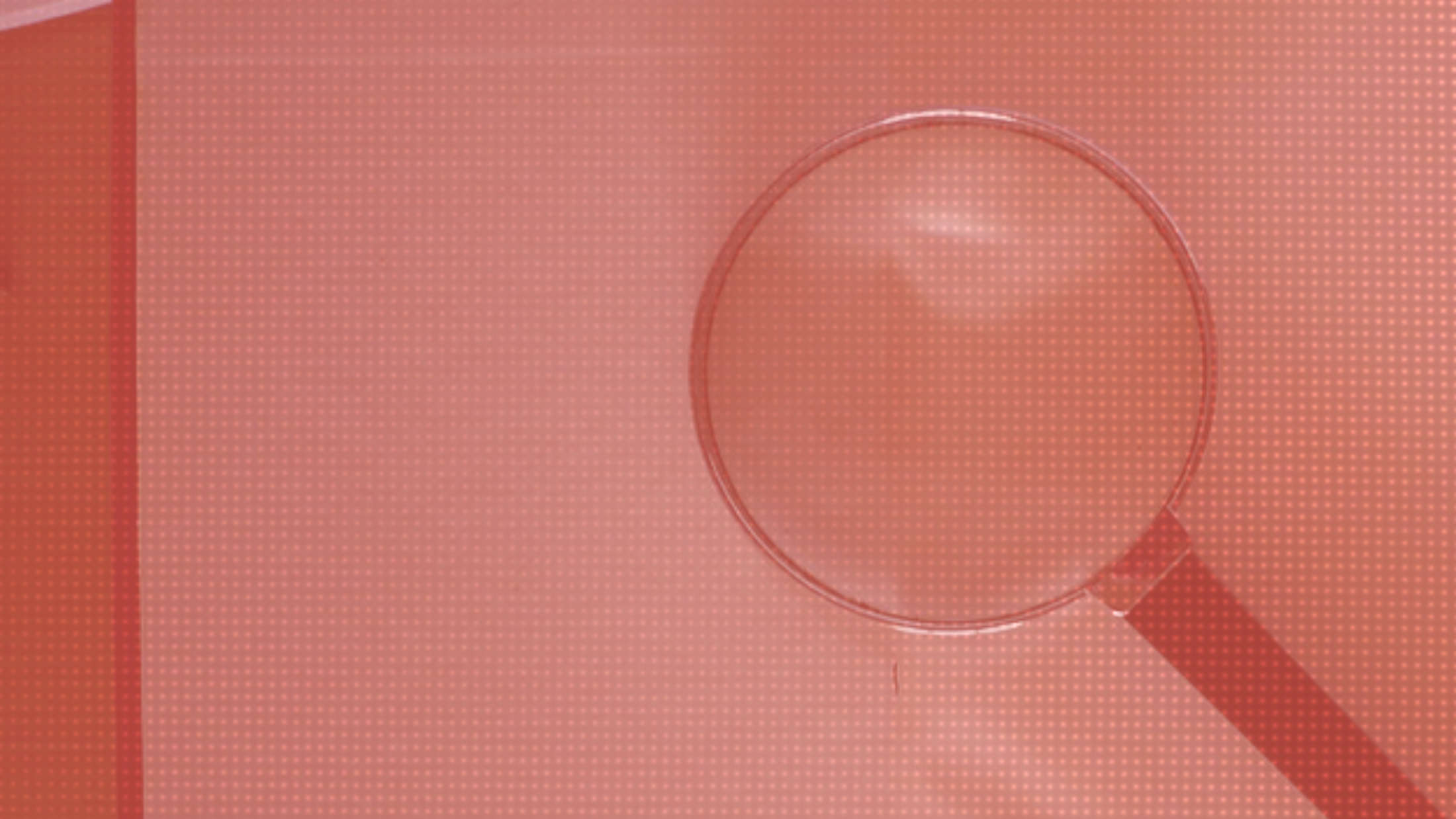 Transparency - China Media Project