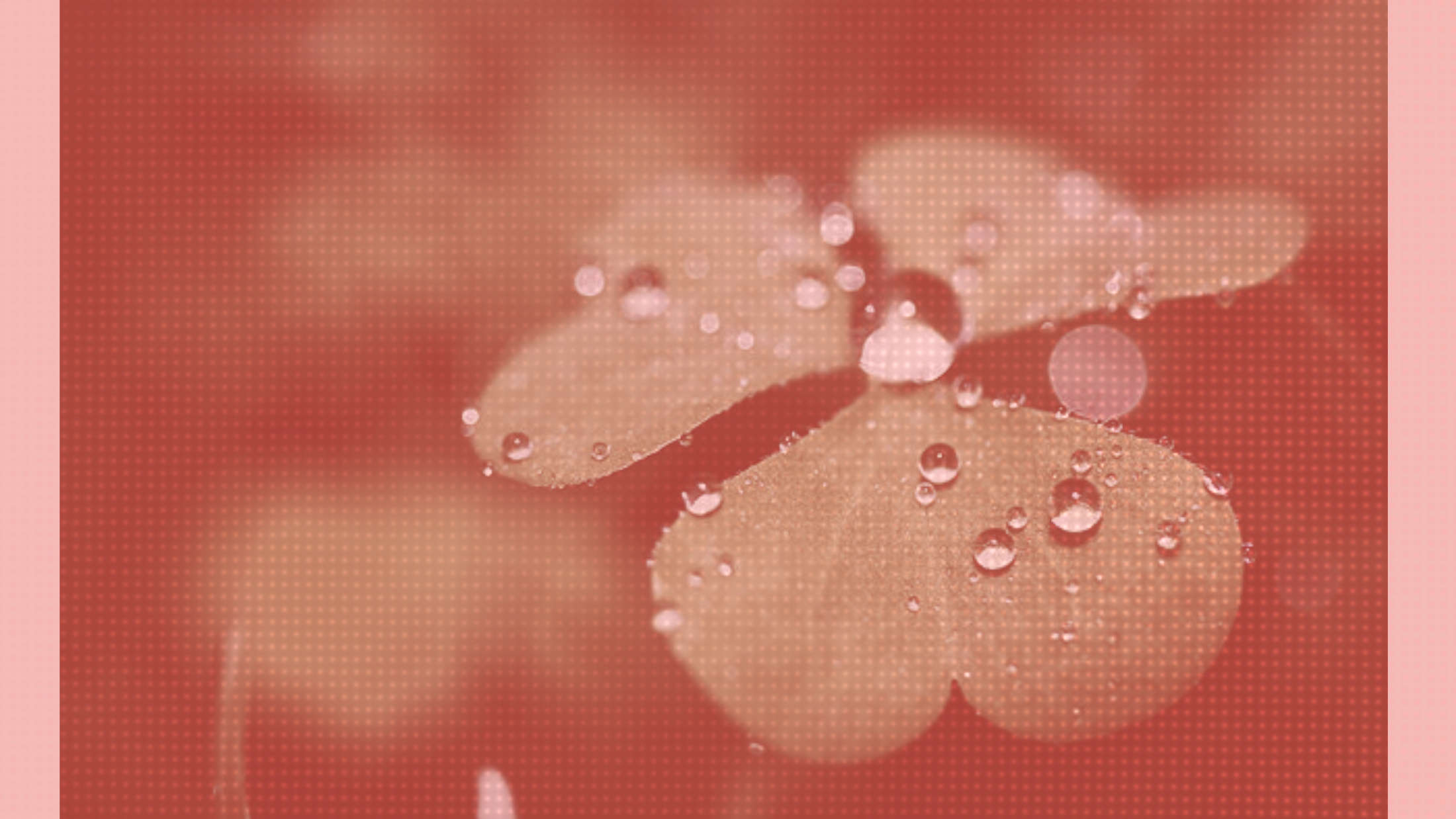 Soundless Saturation / Quietly Nourishing - China Media Project